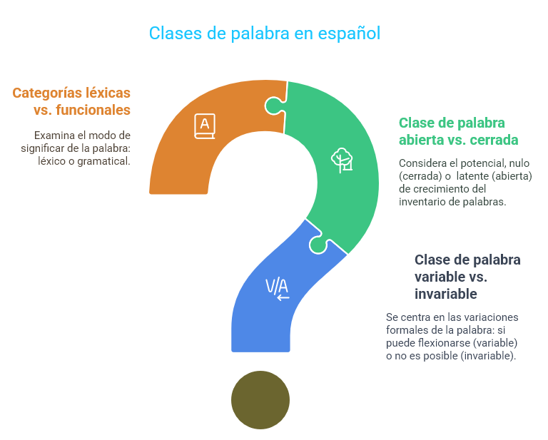 5. Clases de palabra | Situación de aprendizaje 2.3: La palabra precisa